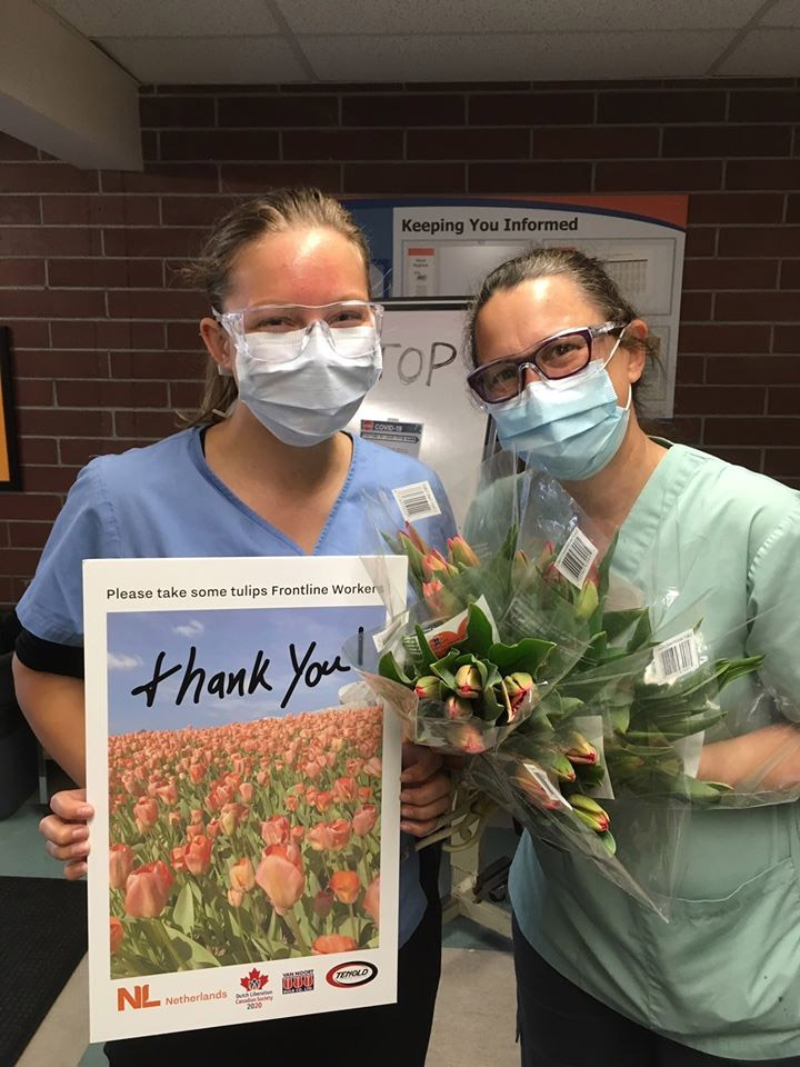 5000 tulip bouquets to front line workers, WW II veterans and residents ...